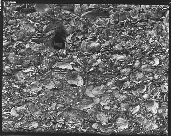 Walker Evans - [Tabby Shell Construction Detail, St. Mary's, Georgia ...