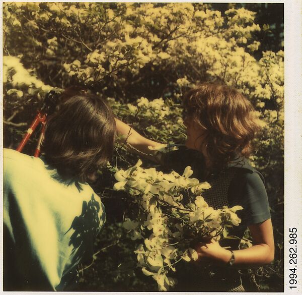 Walker Evans - [Jerry Thompson and Jane Corrigan Pruning a Tree] - The ...
