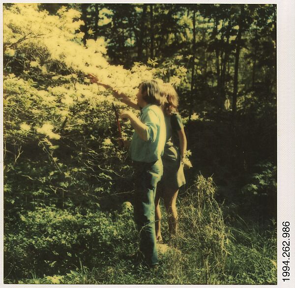 Walker Evans - [Jerry Thompson and Jane Corrigan Pruning a Tree] - The ...