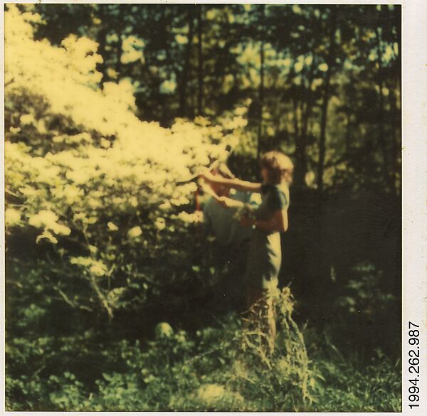 Walker Evans - [Jerry Thompson and Jane Corrigan Pruning a Tree] - The ...
