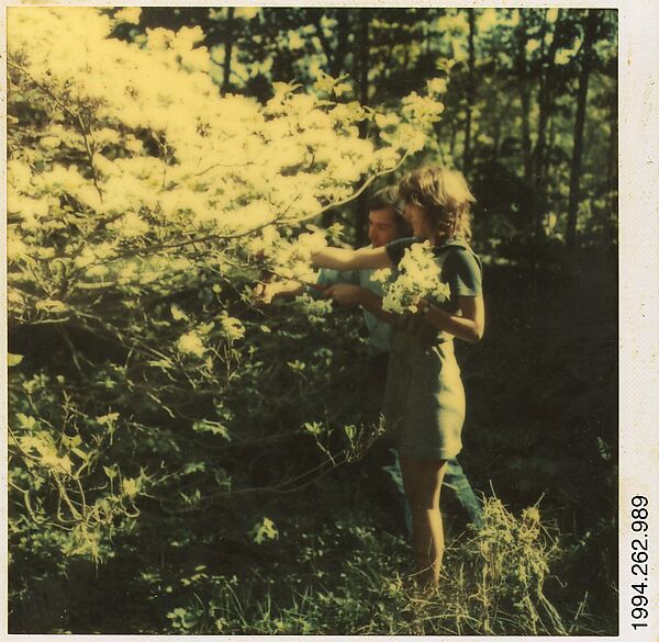 Walker Evans - [Jerry Thompson and Jane Corrigan Pruning a Tree] - The ...