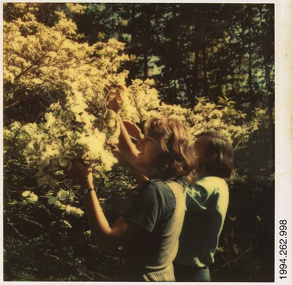 Walker Evans - [Jerry Thompson and Jane Corrigan Pruning a Tree] - The ...