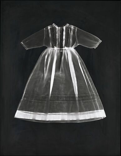 Adam Fuss | Untitled | The Metropolitan Museum of Art