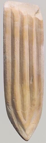 Shell fragment | Sumerian | Early Dynastic | The Metropolitan Museum of Art