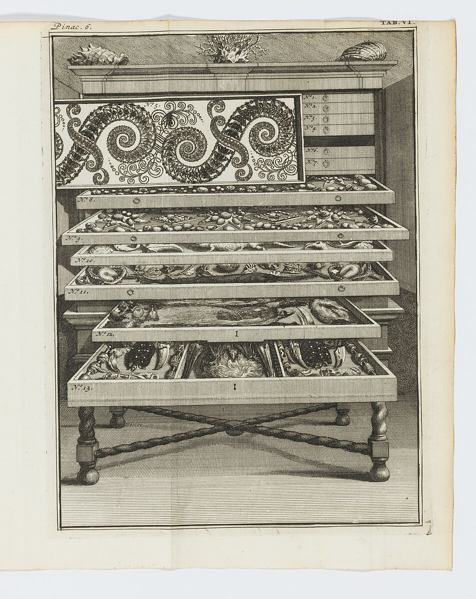 Written by Levinus Vincent | Wondertooneel der Nature | The ...