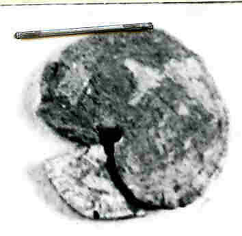 Coin - The Metropolitan Museum of Art