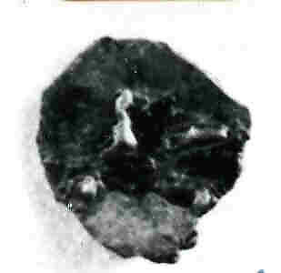 Coin | The Metropolitan Museum of Art