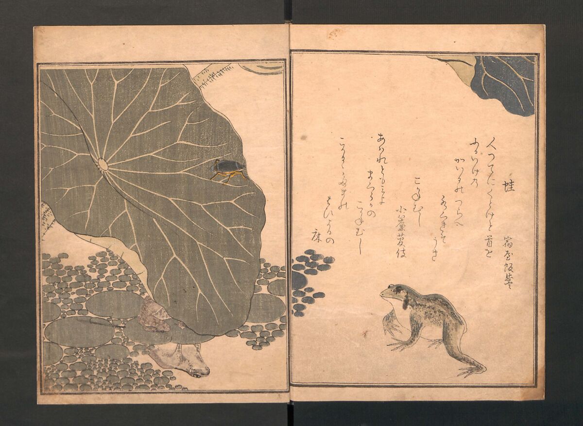 Kitagawa Utamaro | Picture Book of Crawling Creatures (The Insect Book ...