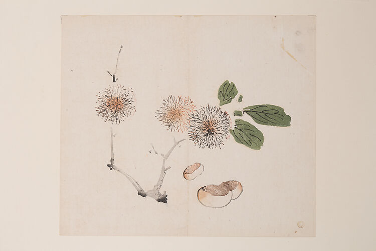 Leaf from the Ten Bamboo Studio Manual of Painting and Calligraphy ...