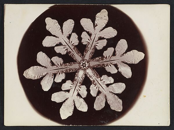 Wilson Alwyn Bentley | [Snow Crystal] | The Metropolitan Museum of Art