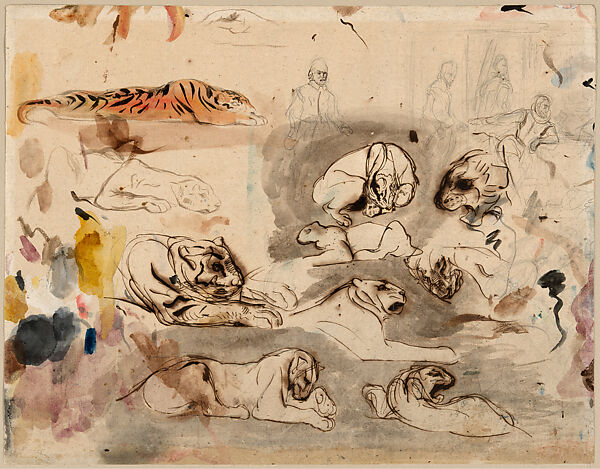 Eugène Delacroix - Sketches of Tigers and Men in Sixteenth-Century ...