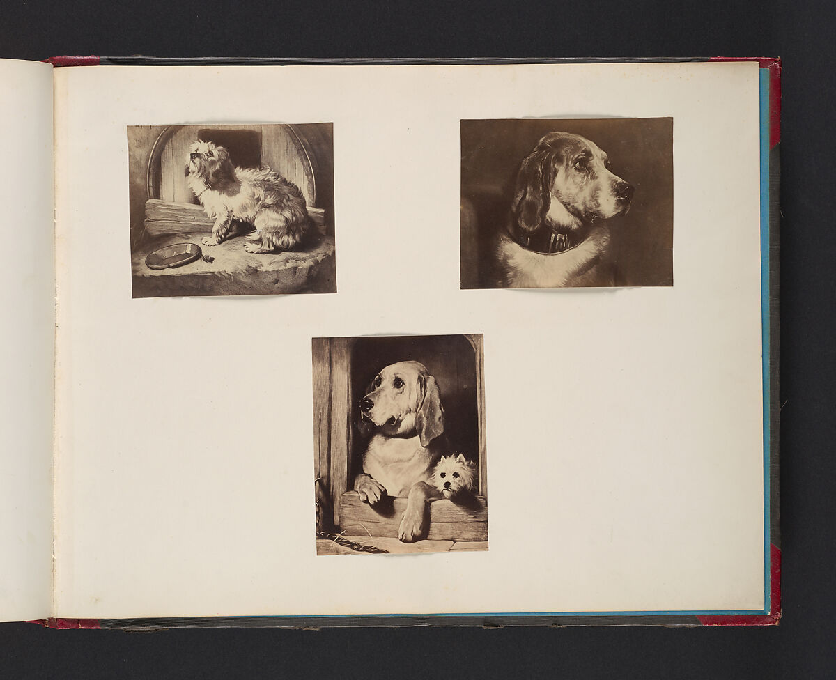 Attributed to John Thomson - [Dogs] - The Metropolitan Museum of Art
