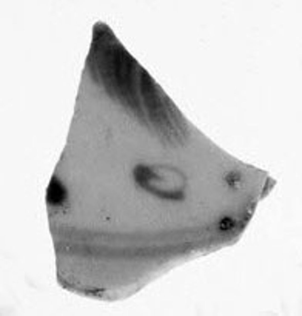 Shard (Study Collection) - China - Ming (1368–1644)–Qing (1644–1911 ...