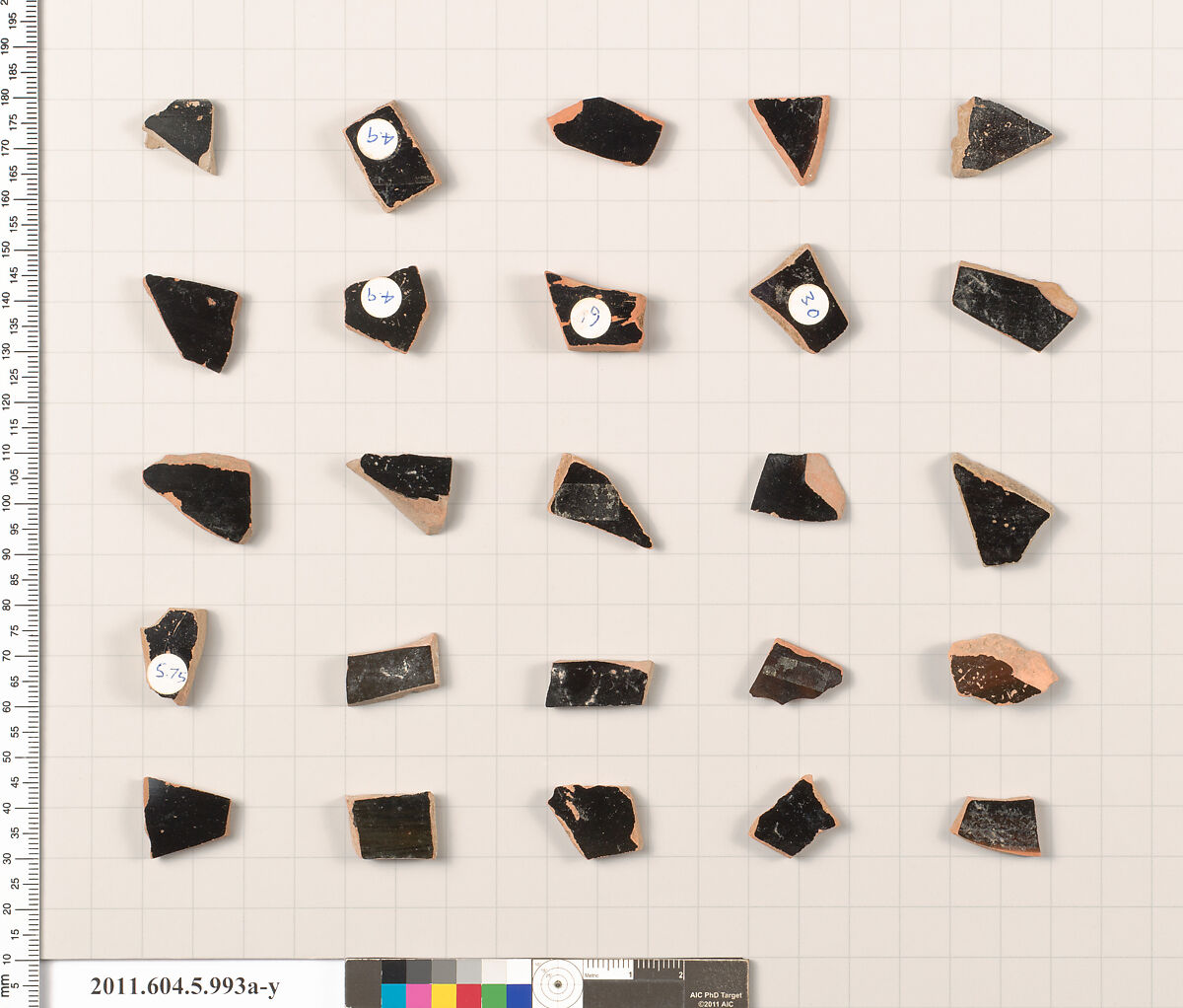 Terracotta fragments of kylikes (drinking cups) - Greek, Attic ...