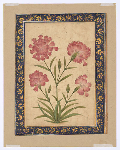 Botanical Painting: Composite Flower | The Metropolitan Museum of Art